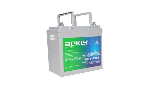 ALFP-1250 | - Aokly