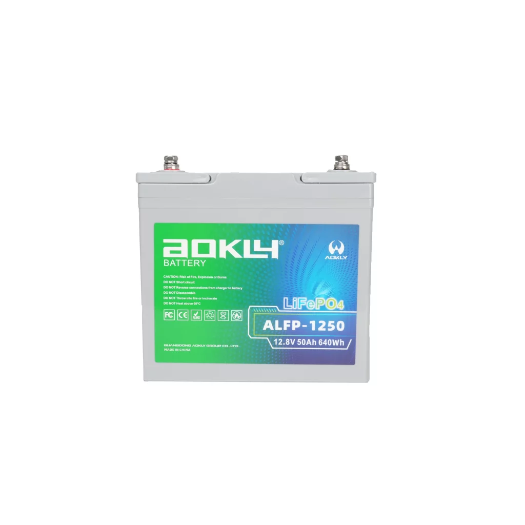 12V Lithium & Sodium Battery - Aokly Battery